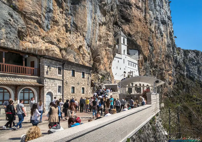 Ostrog Monastery private tour from Kotor